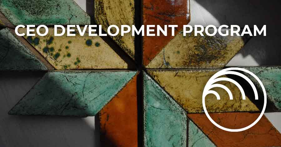 CEO development program